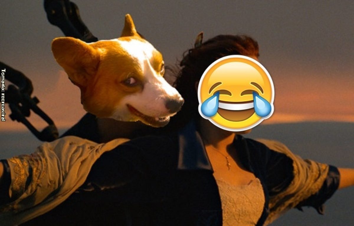 #Memes: ¡Qué perro tan descarado! Jaja