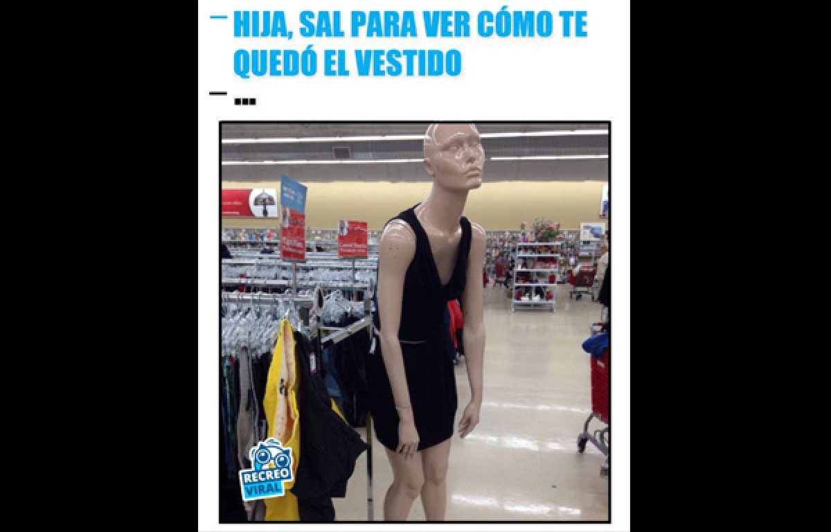 ¿La vida es un meme? Si lo dudas, mira estas imágenes