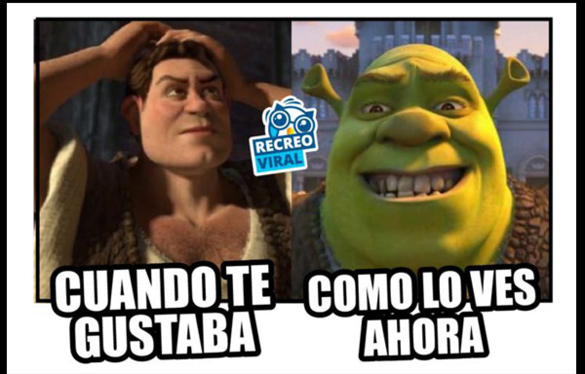 ¿La vida es un meme? Si lo dudas, mira estas imágenes