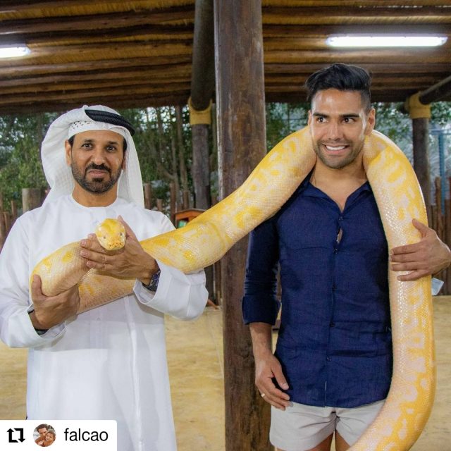 Divertida foto de Falcao con enorme serpiente generó memes
