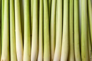 ¿Para qué sirve la limonaria? ¡Consúmela desde ya!