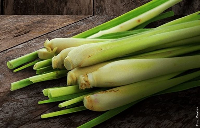 ¿Para qué sirve la limonaria? ¡Consúmela desde ya!