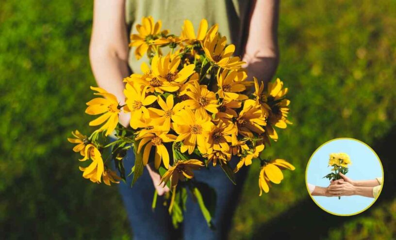 a quiénes se les deben dar flores amarillas