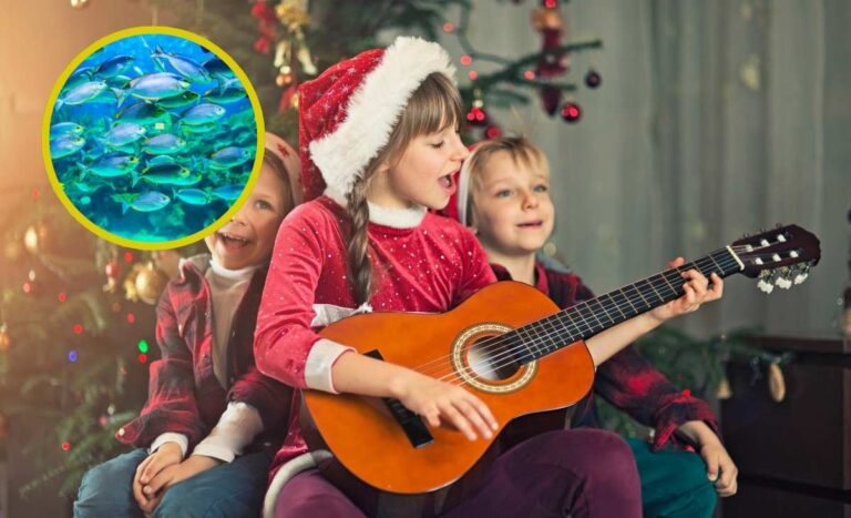 Estos son los secretos detrás de "Los peces en el río", uno de los ...