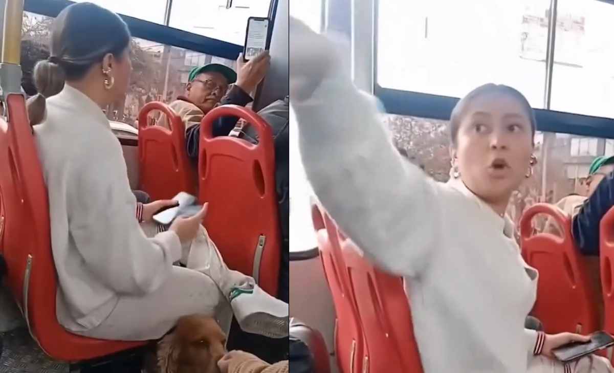 la verdad sobre video de mujer que viajó con su perro en transporte público