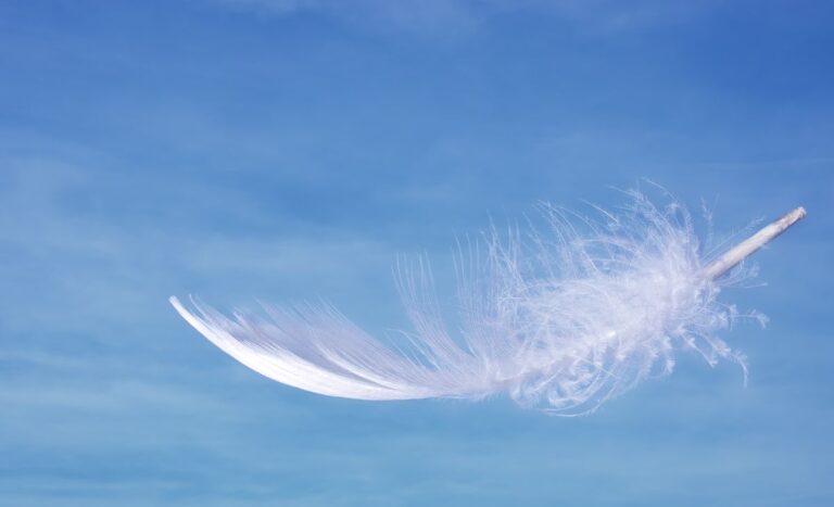 ¿Qué significa encontrar una pluma? Algo muy poderoso