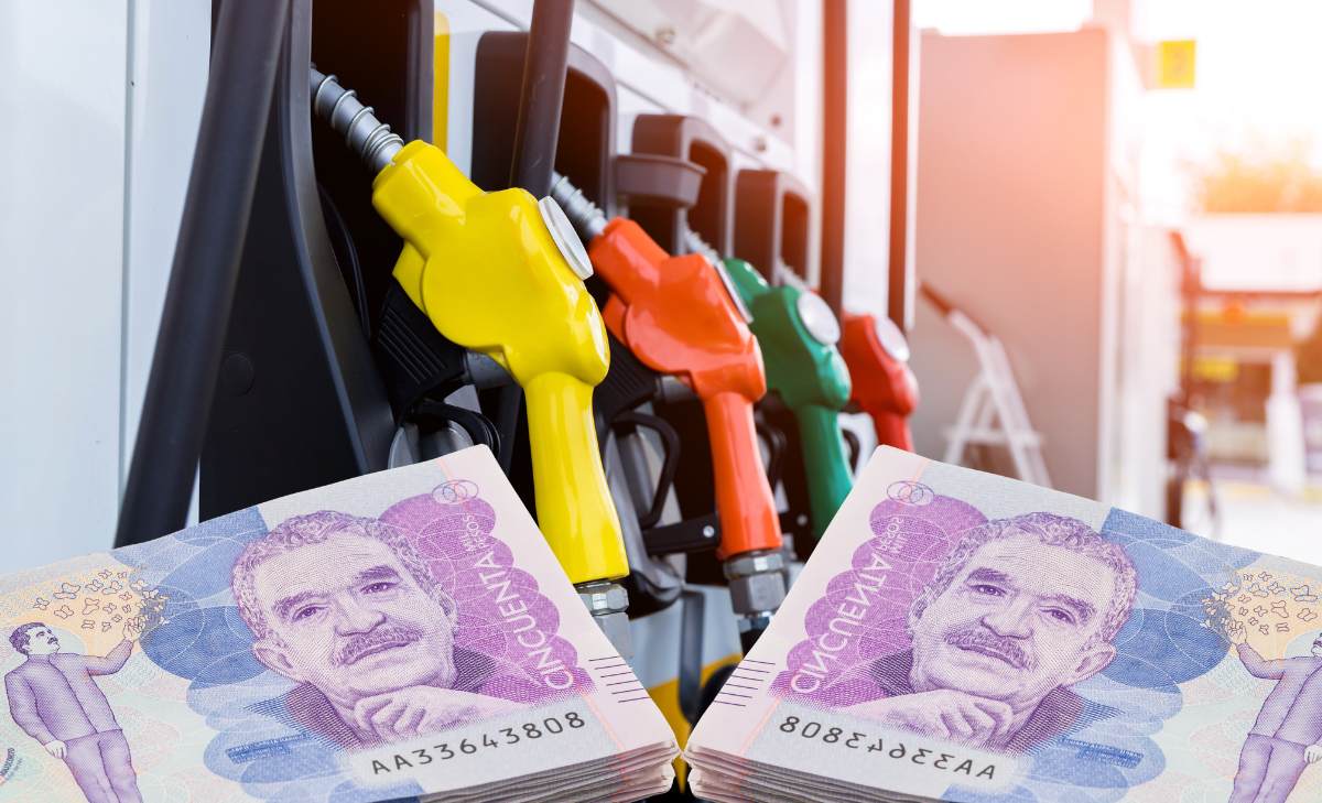 Cómo quedó la gasolina en febrero del 2026